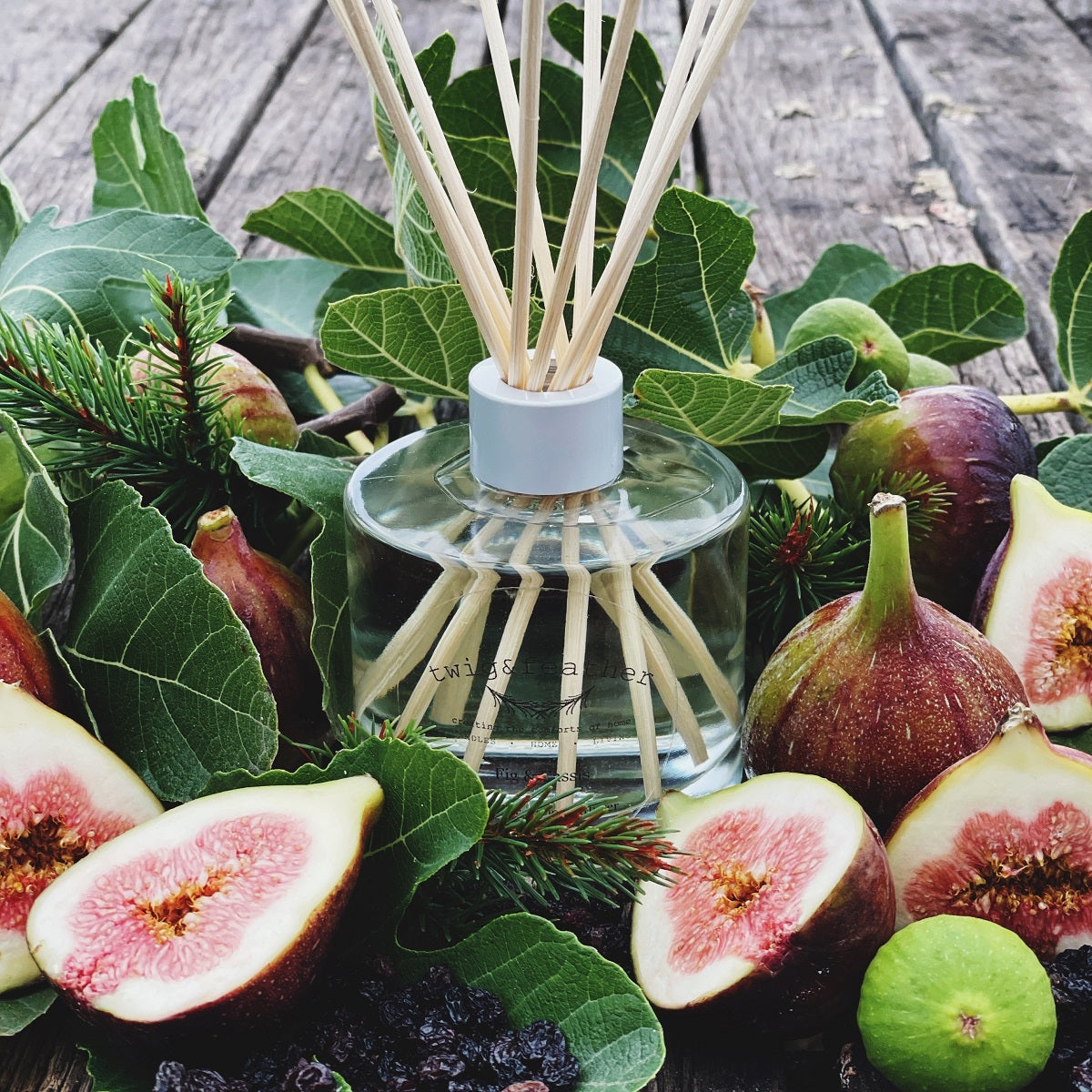 Fig & Cassis - Fragrance Diffuser 200ml - Twig & Feather | Twig and Feather