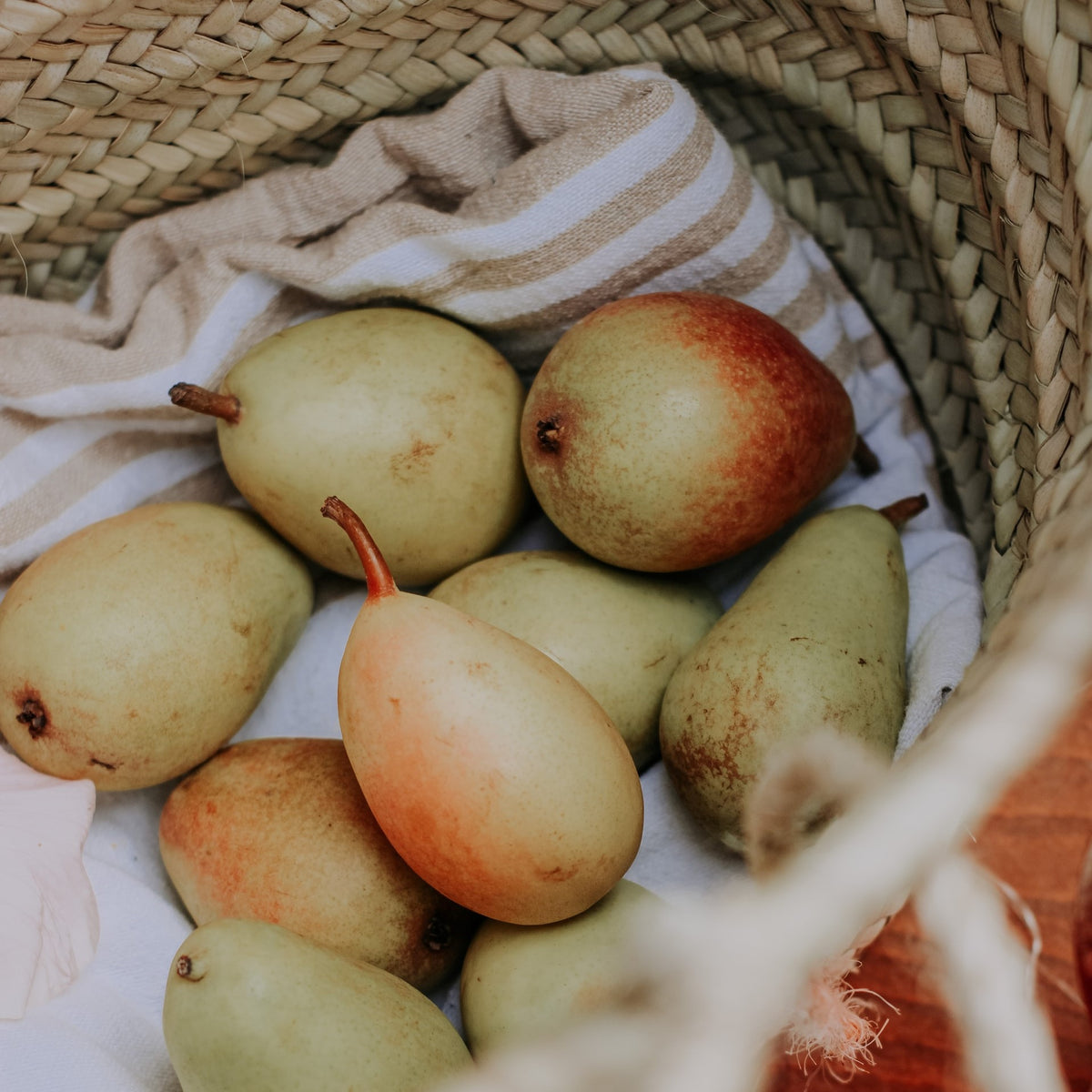 French Pear - Soy Wax Candle - 30hr - Twig & Feather | Twig and Feather